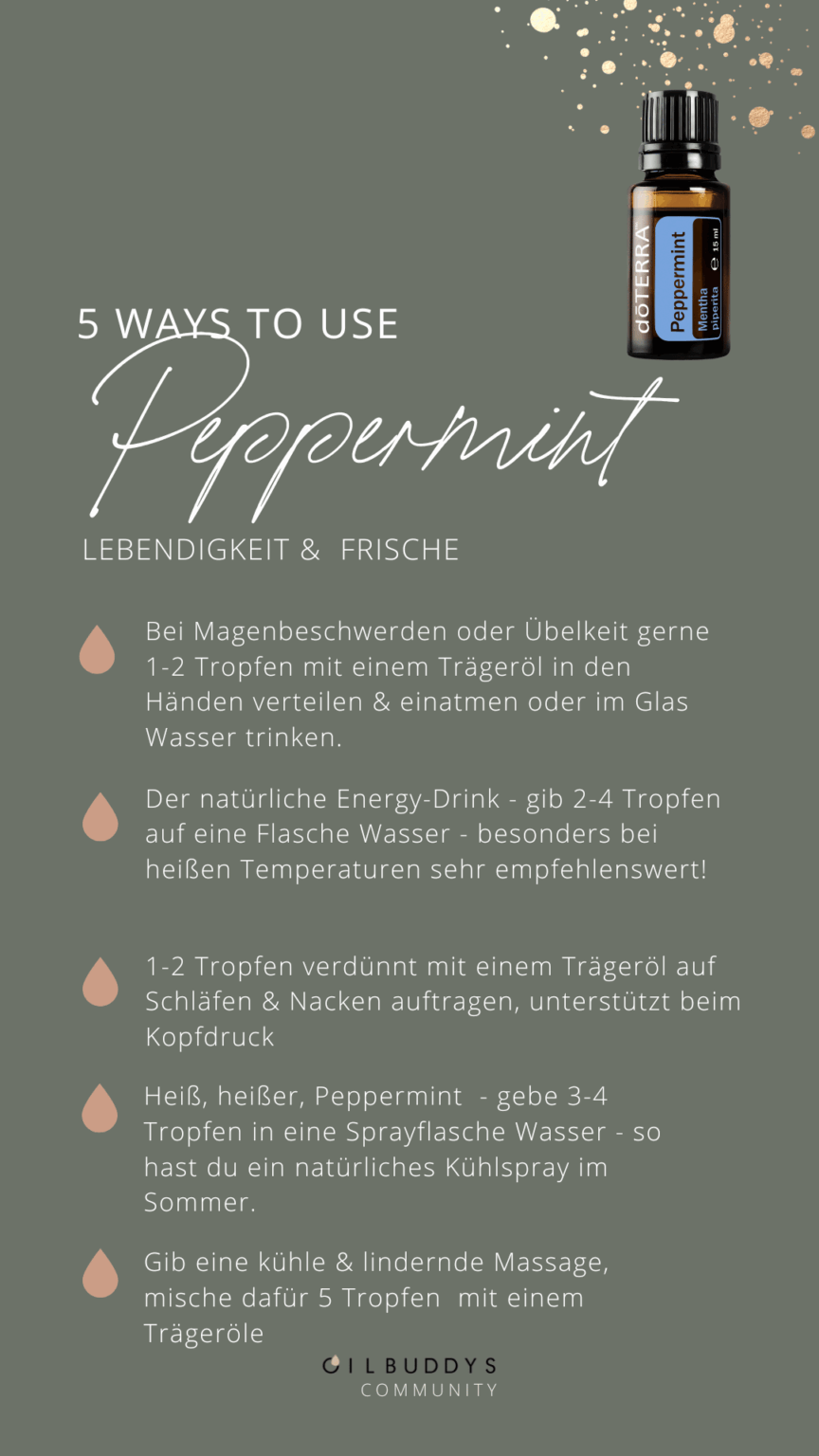 5 Ways to use dein Home Essential Kit – LiveandLove Blog