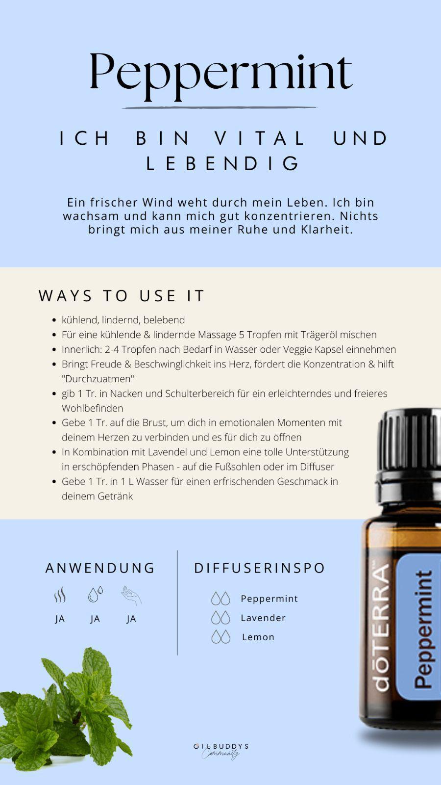 5 Ways to use dein Home Essential Kit – LiveandLove Blog